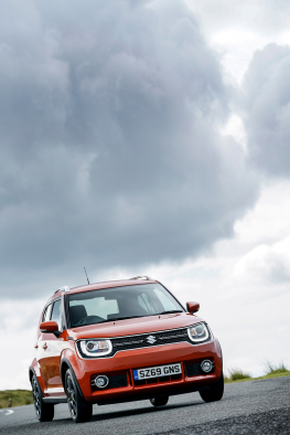 View photo Add to Basket Download photo